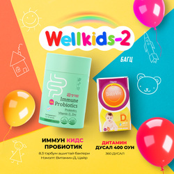Wellkids-2