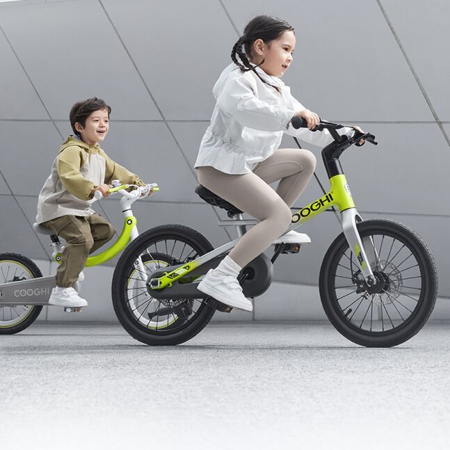 Cooghi Bike F1-20 inch