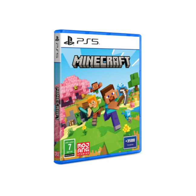 PS5 Game Minecraft